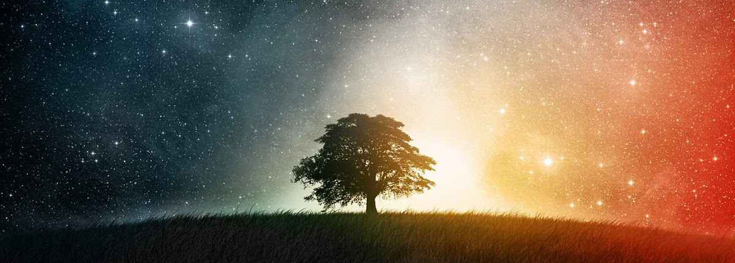 Why the Torah is the Tree of Life | Morning Meditations